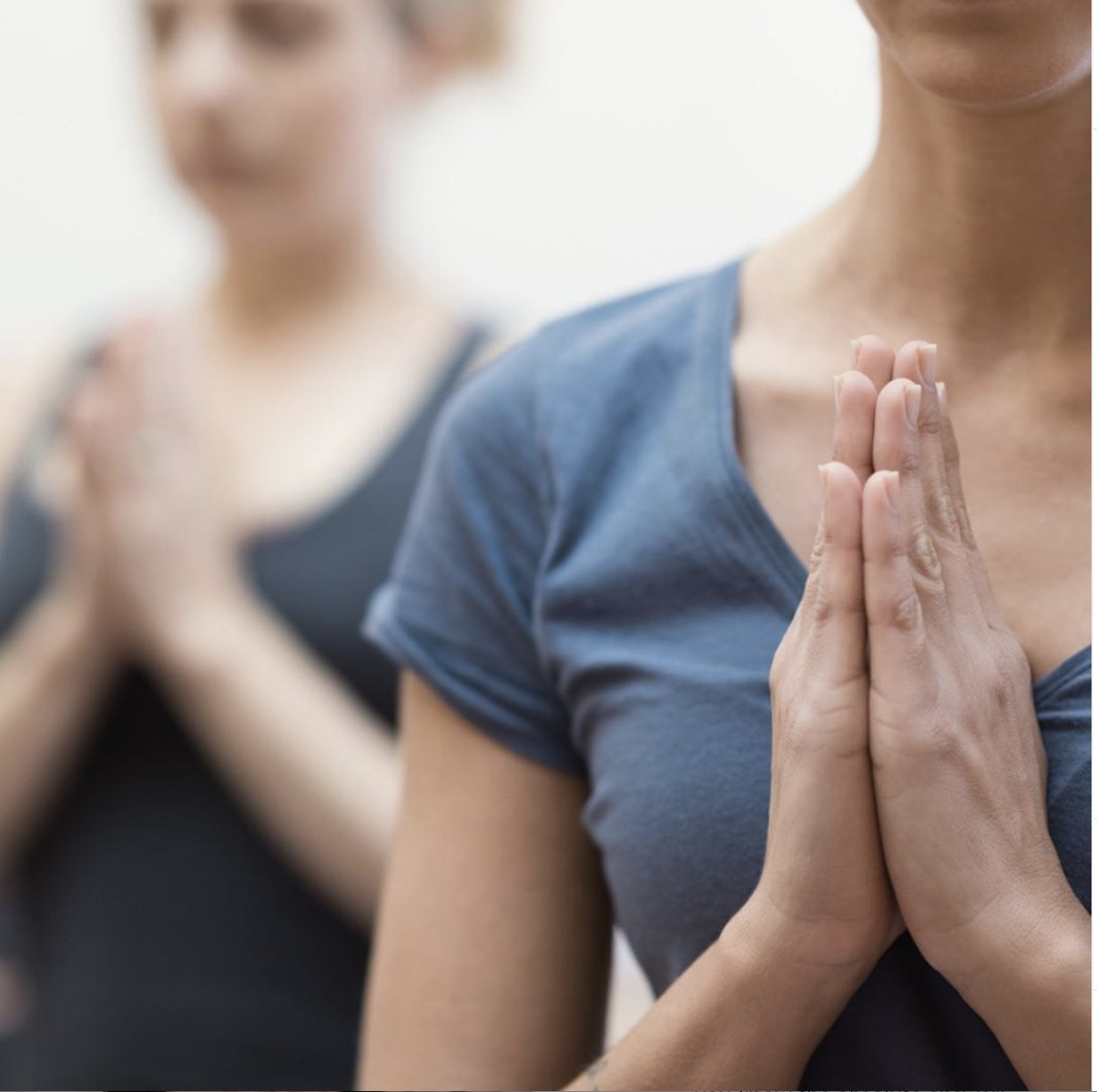 Delight Yoga Home Frontend CMD